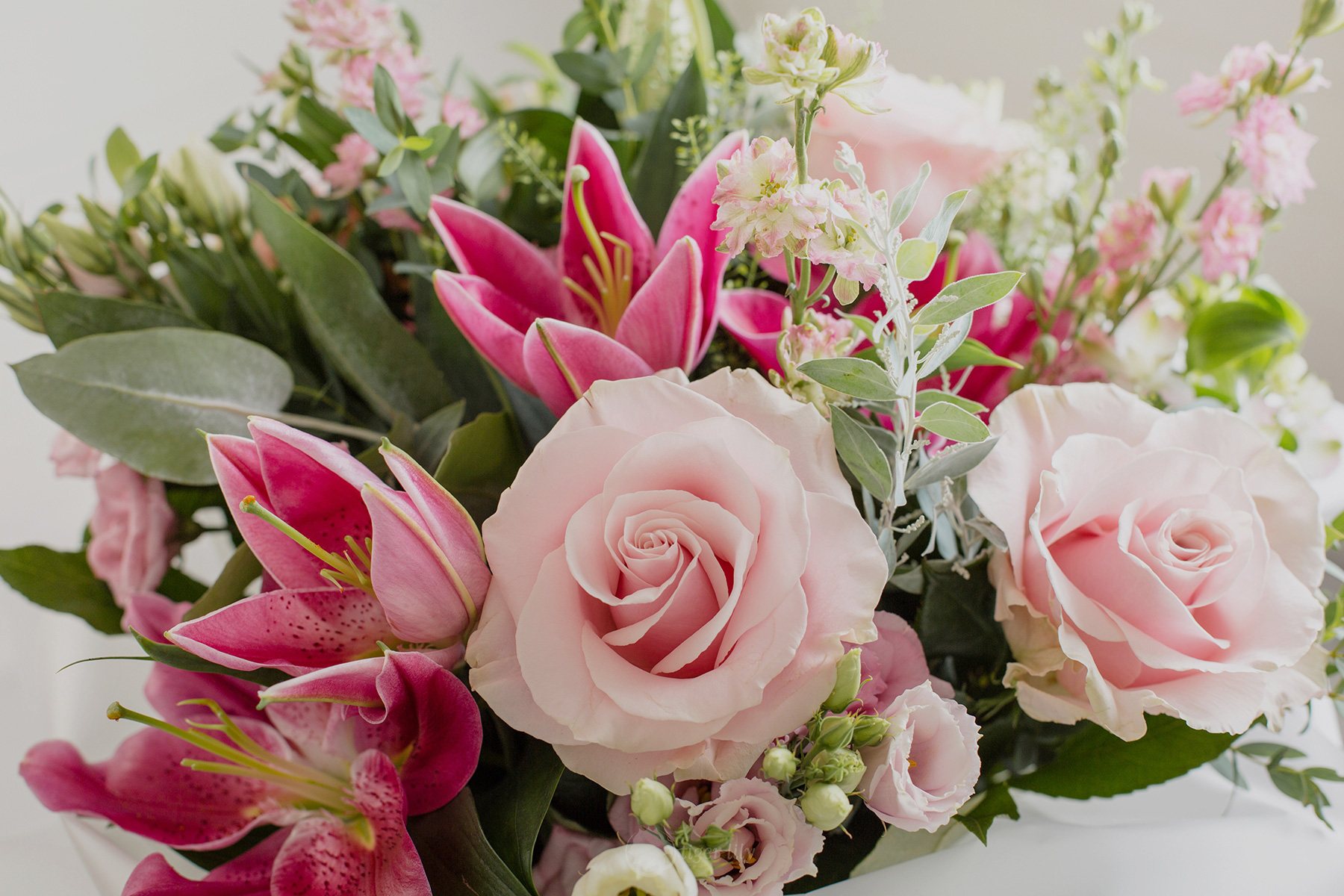 Tina Flowers | Best Flower Site